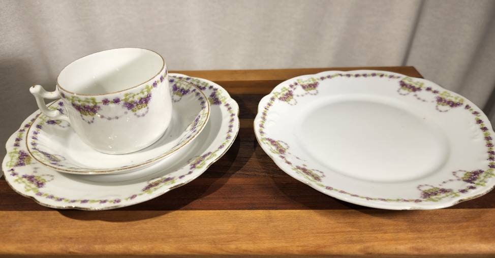 RARE Early 1900s Porsgrund Tea Set 1 Cup and Saucer Norwegian - Etsy