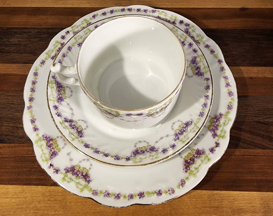 RARE Early 1900s Porsgrund Tea Set 1 Cup and Saucer Norwegian - Etsy