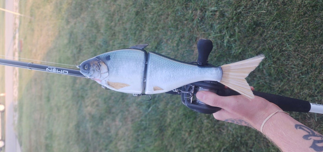 Predator Shad - Etsy