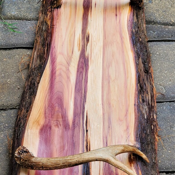 Cedar Tray - Etsy