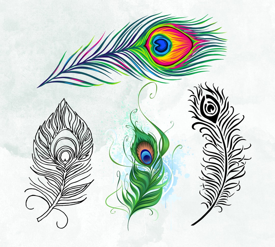 Peacock Feather SVG PNG Digital Download, Peacock Feathers SVG, Peacock ...