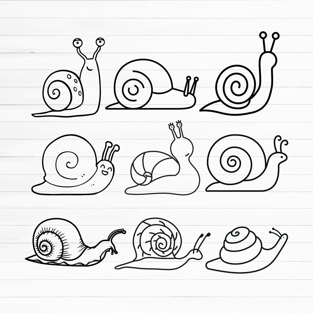 Snail SVG, Snail Clipart, Snail Cut File, Snail PNG, Snail Silhouette ...