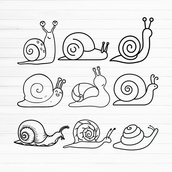 Clipart Snail