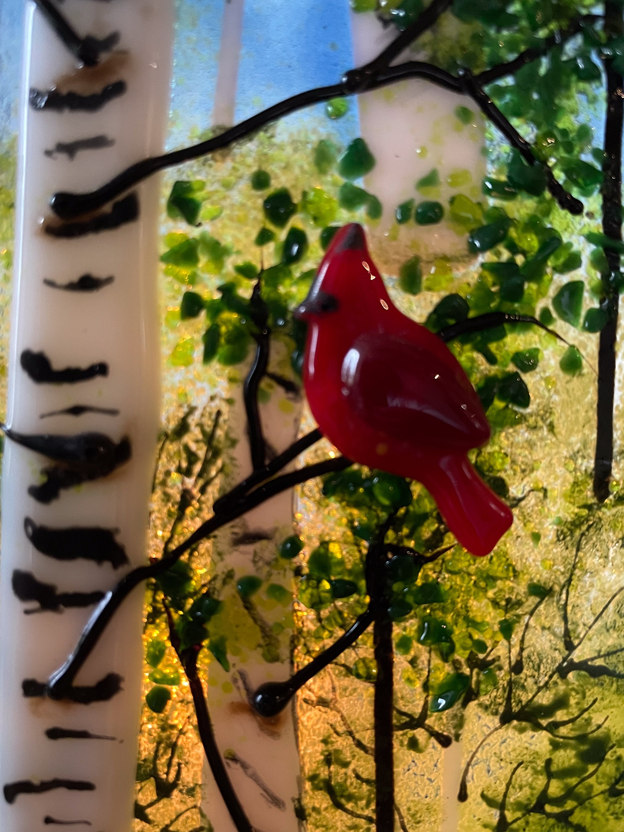 Precut Glass Cardinals: COE 90/96 Fusing & Stained Glass Supplies (pack ...