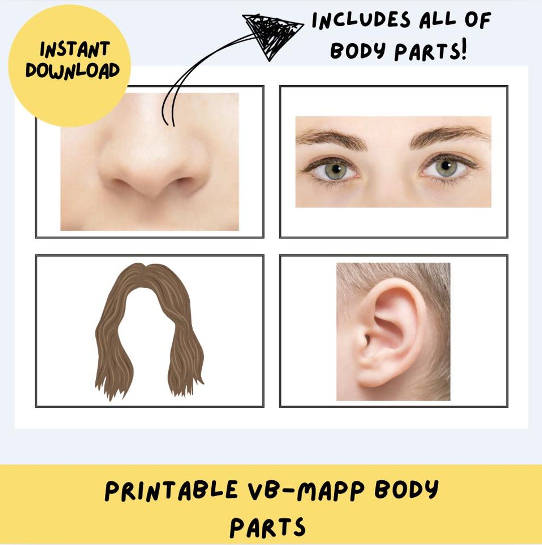 VB-MAPP Printable Body Parts Flashcards - Etsy