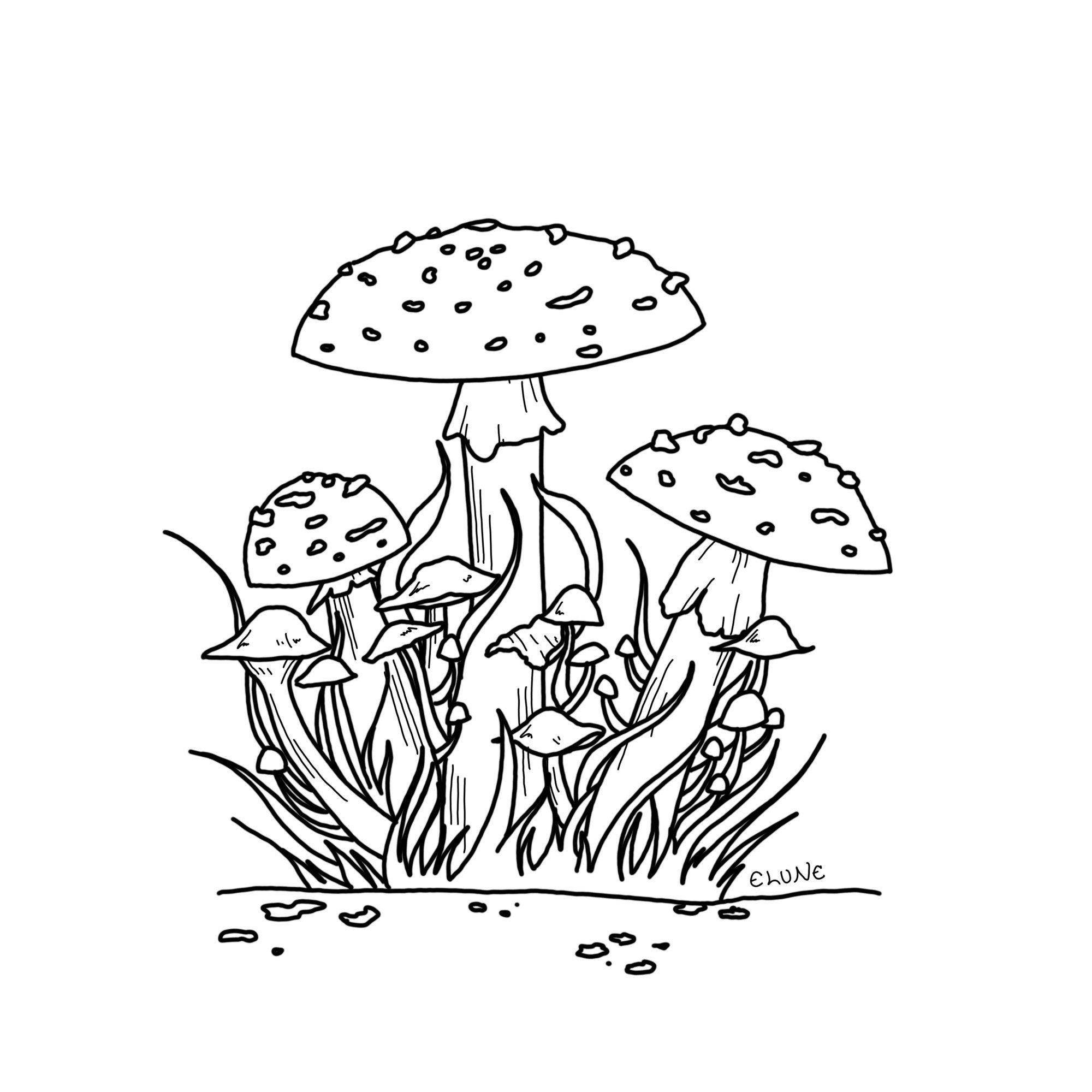 Mushroom Digital Coloring Book Pages - Set of Three - Etsy