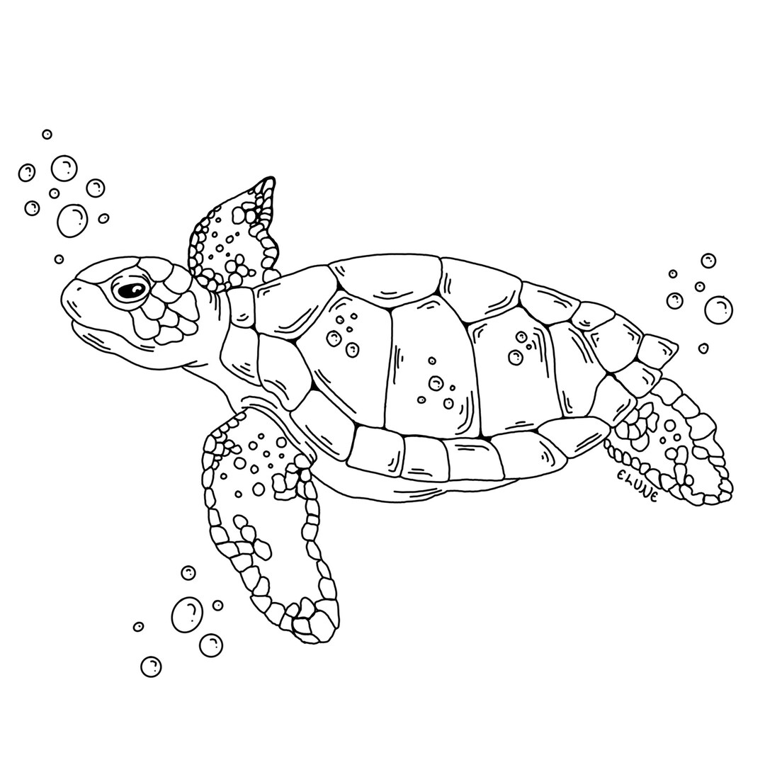Animal Digital Coloring Book Pages Set of Four - Etsy