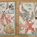 Earth Tone Sea Life for Decoupage - Etsy
