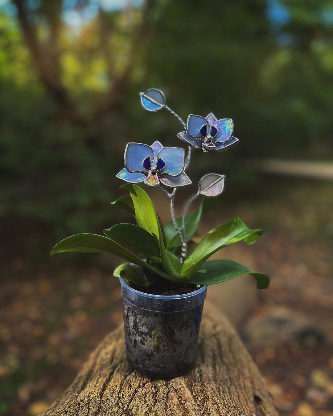 CHOOSE COLOR Stained Glass Orchid Stick for Plant Pot, 2 Flowers ...