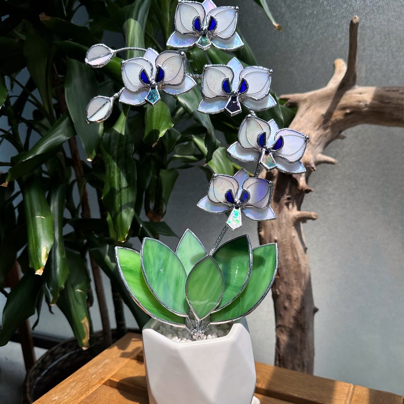 Glass Orchid - Etsy
