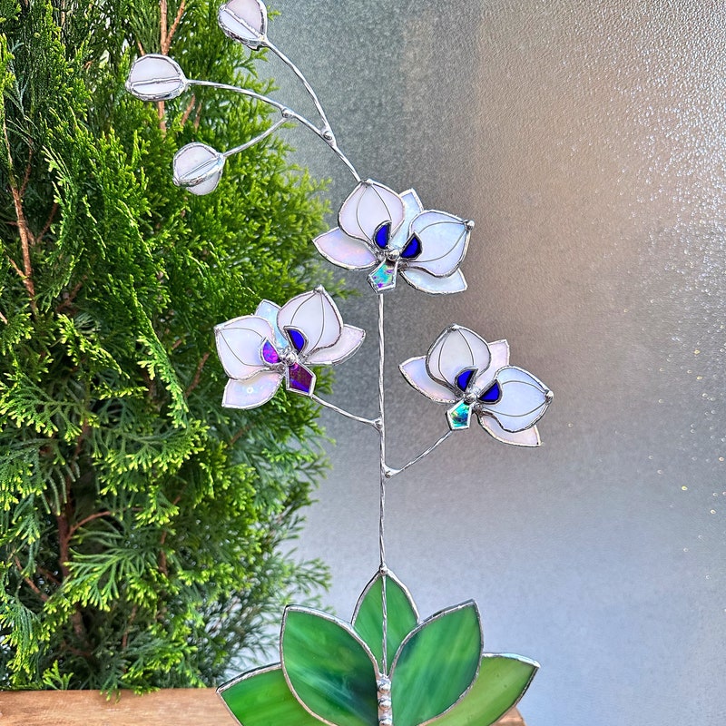 Stained Glass Orchids - Etsy