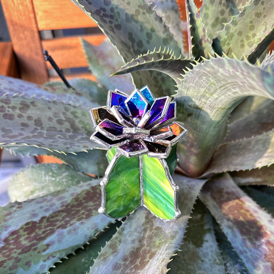 Stained Glass Cactus XL Multicolor Iridescent, Succulent 3D, Cacti ...