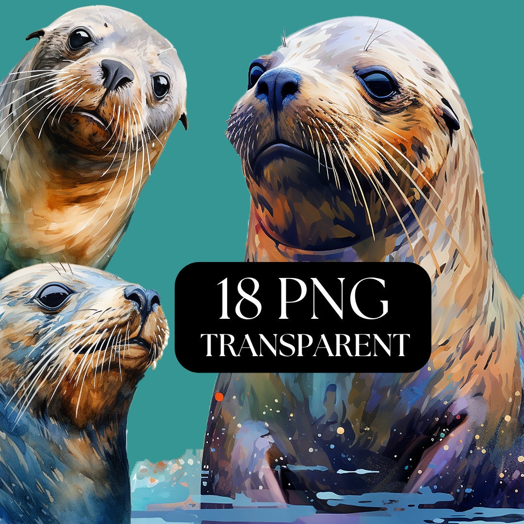 Watercolor Seal Clipart Bundle Ocean Animals Sealions Clipart - Etsy