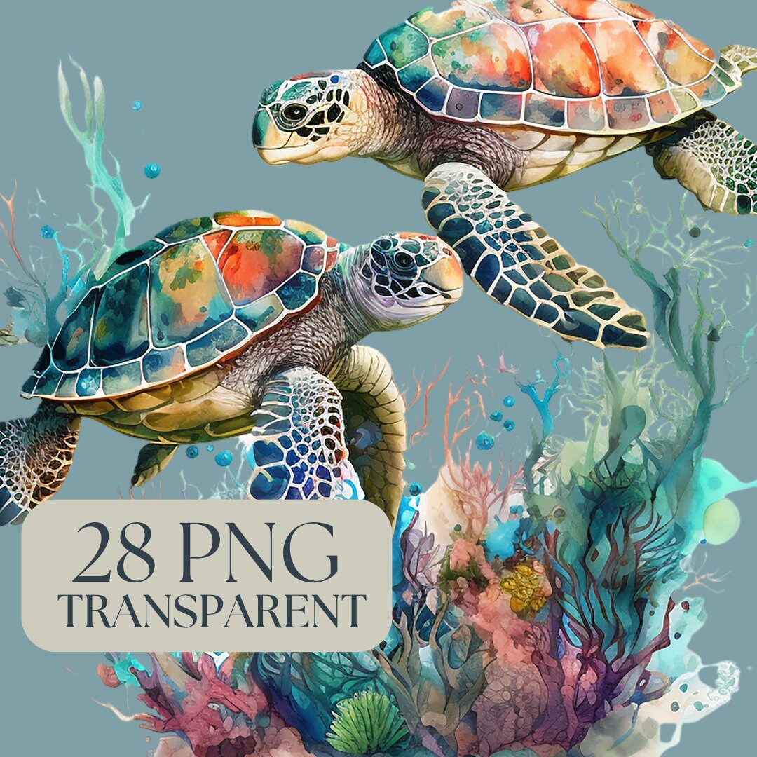 Watercolor Sea Turtle Clipart, Watercolor Ocean Animals Nautical ...