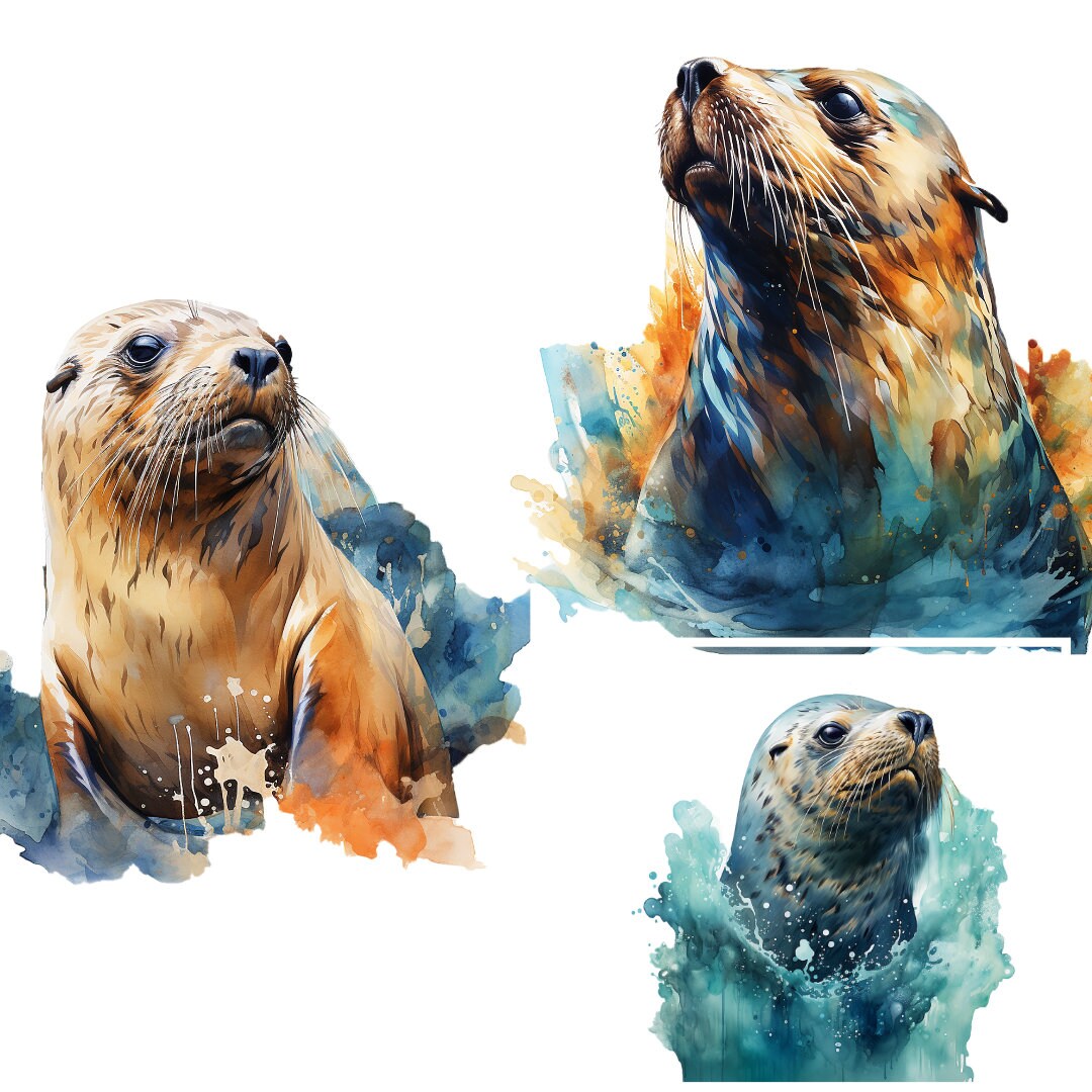 Watercolor Seal Clipart Bundle Ocean Animals Sealions Clipart - Etsy