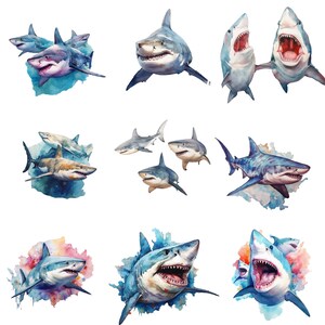 Watercolor Shark Clipart Bundle Ocean Animals Sea Life - Etsy