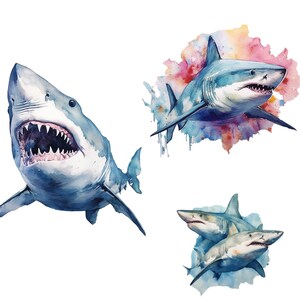 Watercolor Shark Clipart Bundle Ocean Animals Sea Life - Etsy
