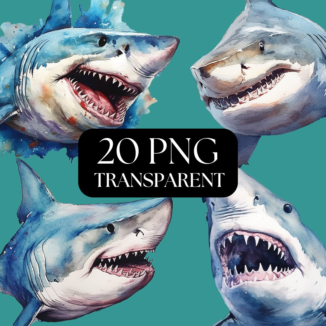 Watercolor Shark Clipart Bundle Ocean Animals Sea Life - Etsy
