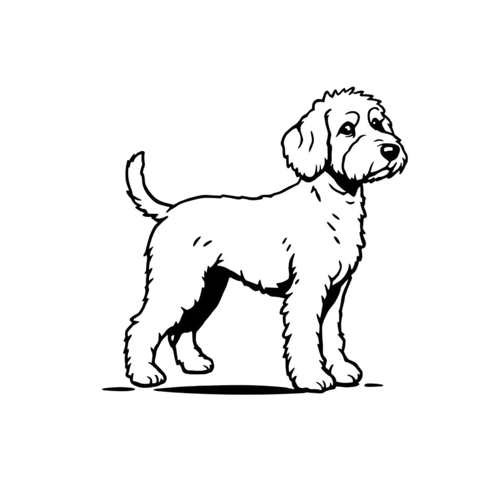 Schnoodle Dog Simple Art Black & White SVG / PNG / JPG Clipart - Free ...