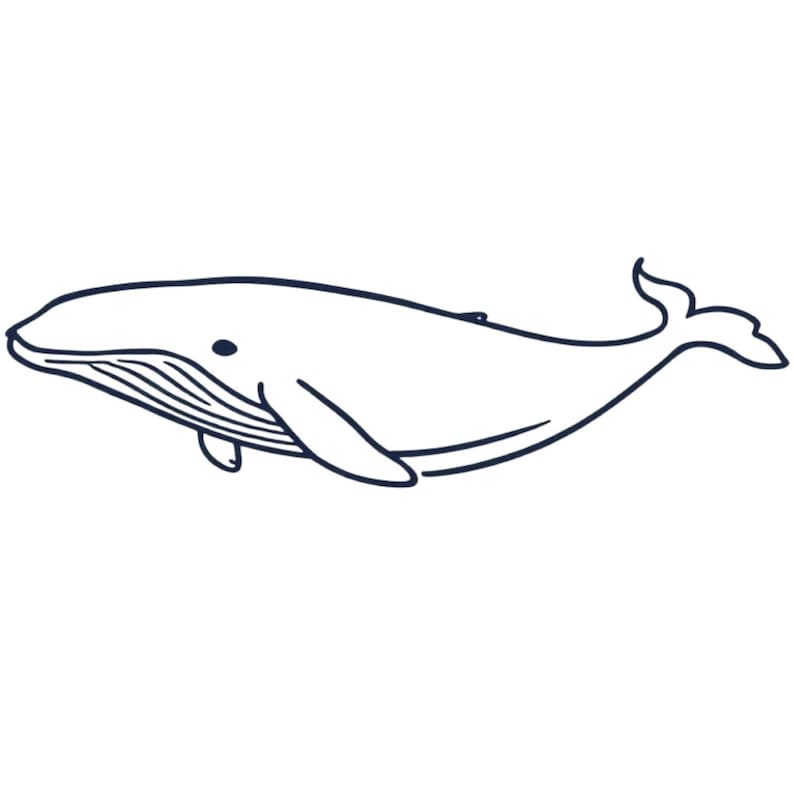 Whale Simple Line Art Kids SVG / PNG / JPG Clipart - Free Commercial ...