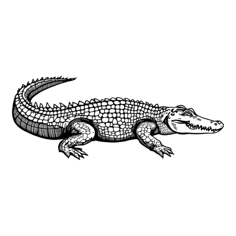 Alligator Gator Side Profile SVG / PNG / JPG Clipart - Free Commercial ...
