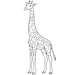 Giraffe Simple Black and White Line Art Kids SVG / PNG / JPG Clipart ...
