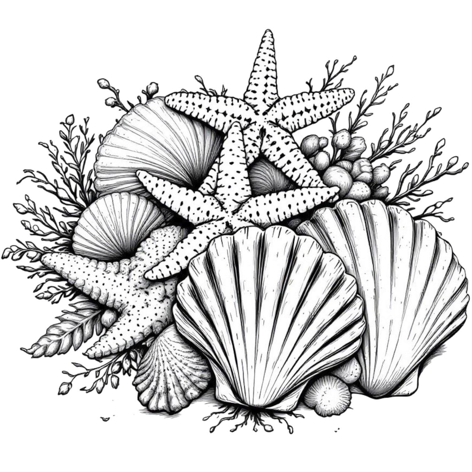 Starfish Clams Sea Shells Ocean Beach Art Black & White Seashells SVG ...
