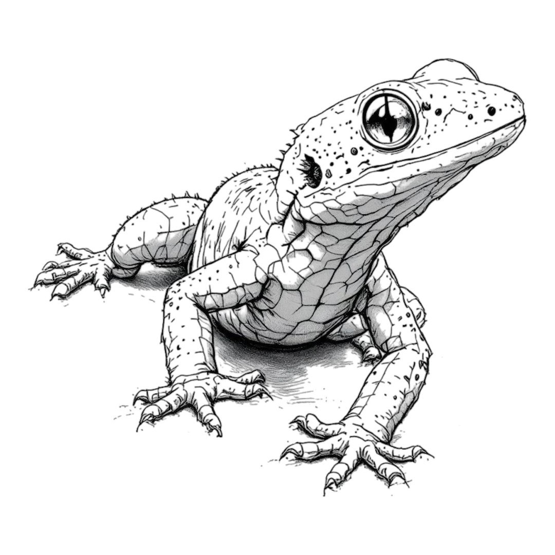 Gecko Lizard Portrait Black & White SVG / PNG / JPG Clipart - Free ...