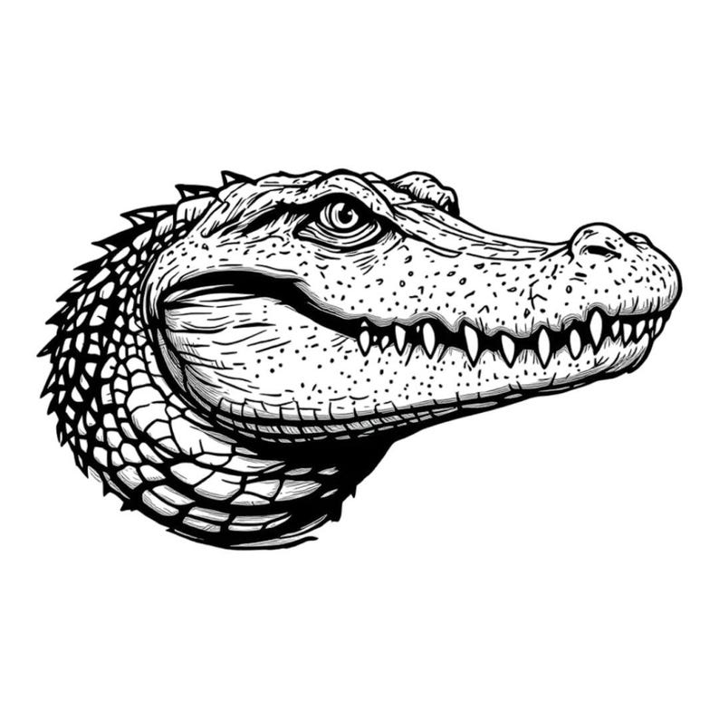Alligator Head Profile SVG / PNG / JPG Clipart - Free Commercial Use - Etsy
