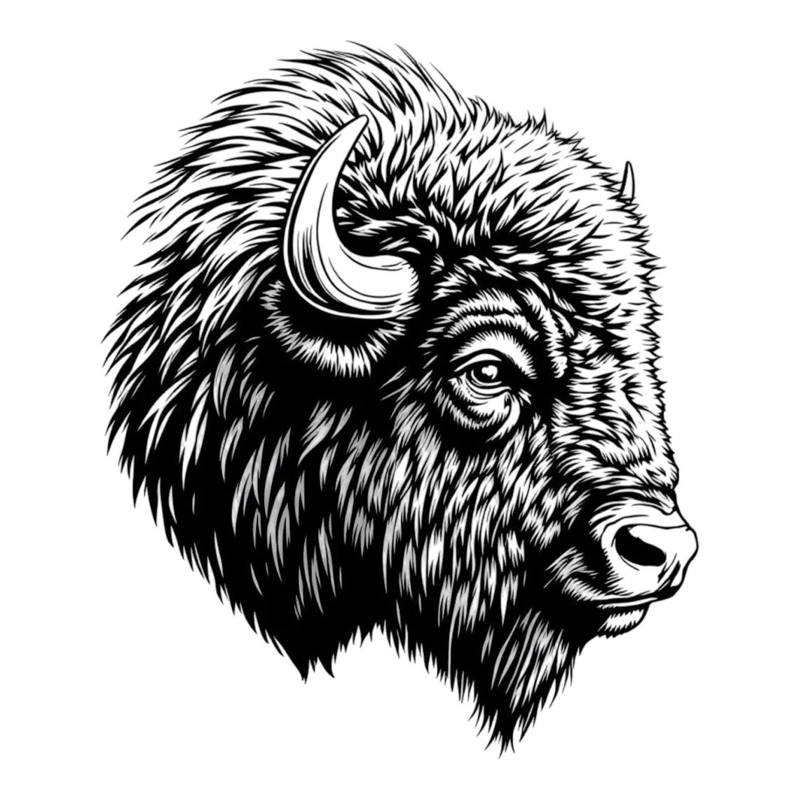 Bison Buffalo Head Portrait SVG / PNG / JPG Clipart - Free Commercial ...