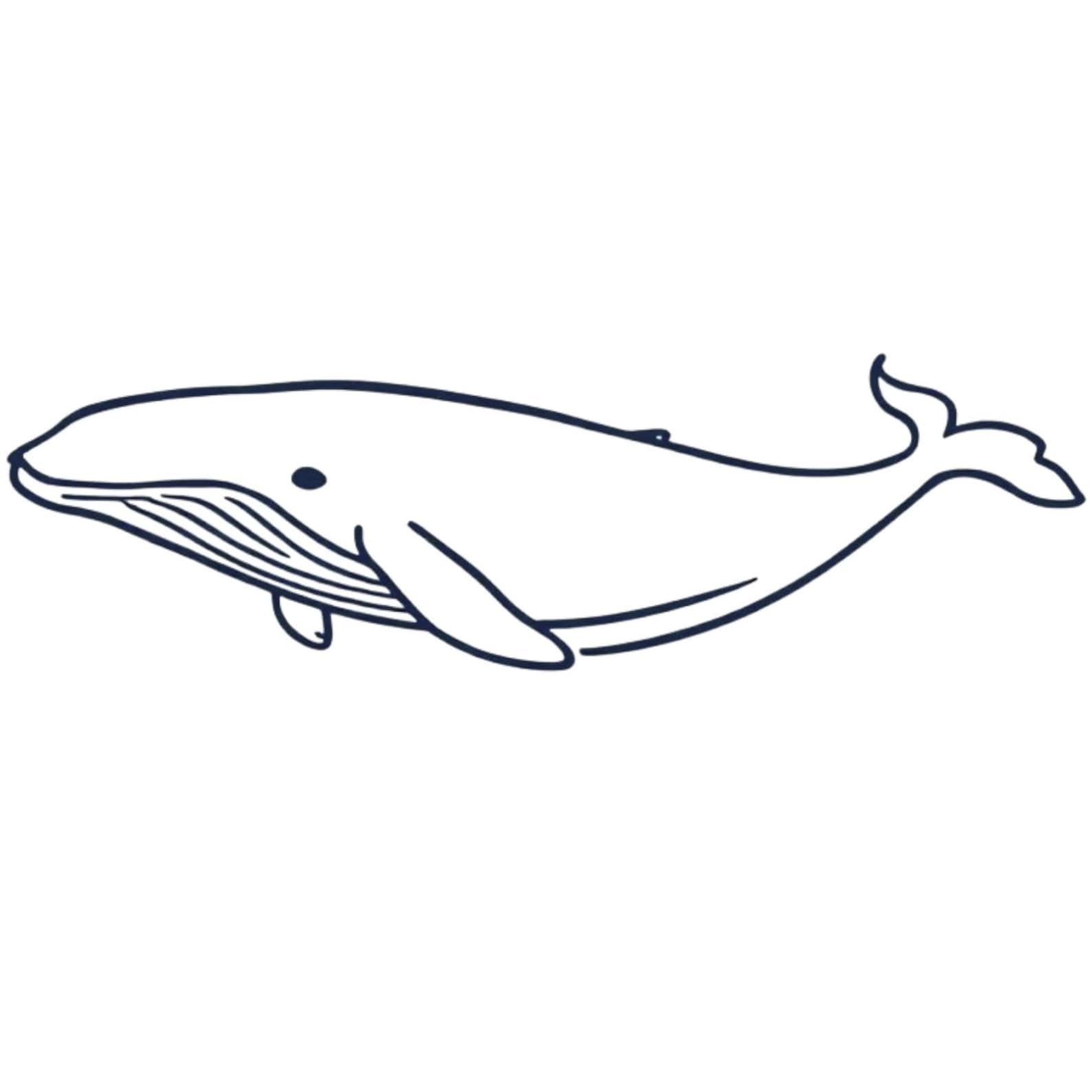Whale Simple Line Art Kids SVG / PNG / JPG Clipart - Free Commercial ...