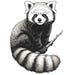 Cute Red Panda Portrait Realistic Art Black & White SVG / PNG / JPG ...
