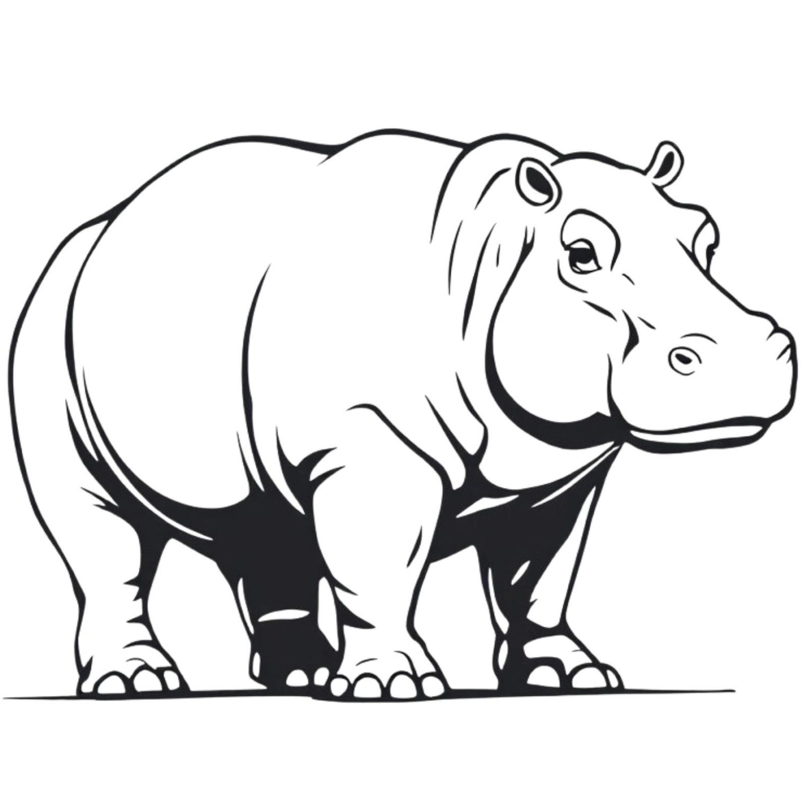 Hippo Hippopotamus Simple Line Art Black & White Kids SVG / PNG / JPG ...