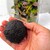 Large Terrarium Kit DIY / Live Moss / Tropical Plant, Bioactive ...