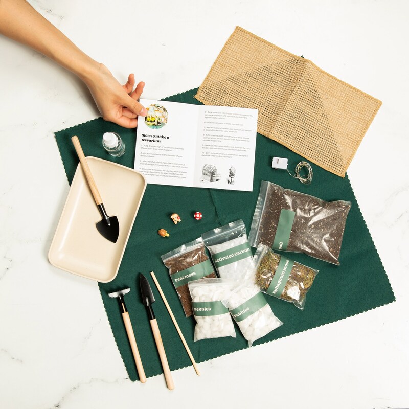 Terrarium Kit - Etsy