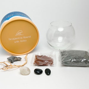 Water Terrarium Kit, Water Garden, Birthday Gift for Nature Lovers ...