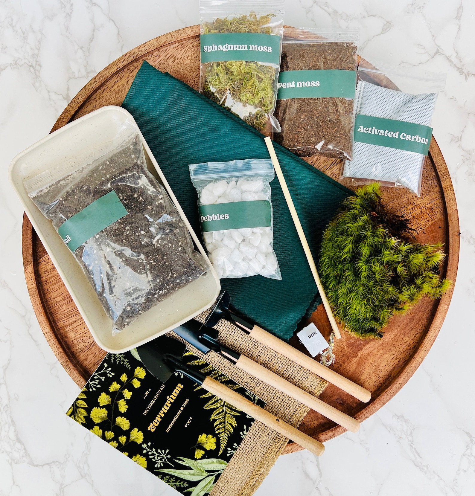 Complete Closed Terrarium Kit With Live Plants & Moss – Bioactive ...