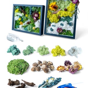 DIY Premium Moss Wall Art Kit With 2 Black Frames Nature Lover Gift ...