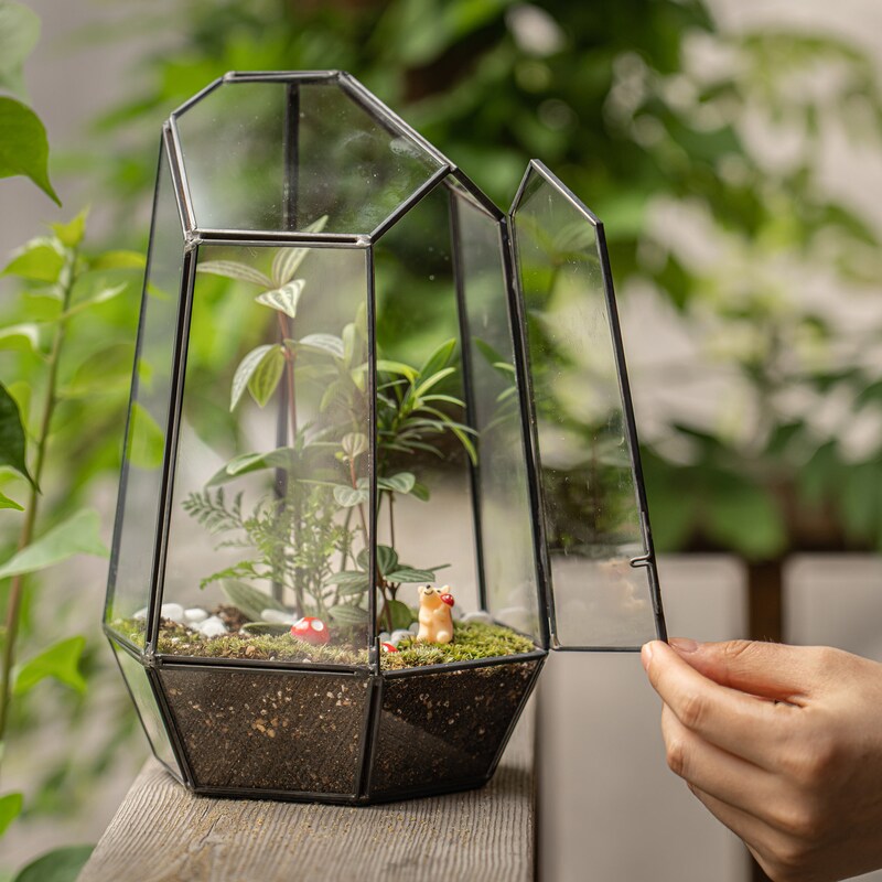 Large Glass Terrarium Container - Etsy