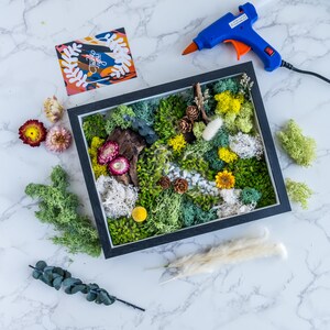DIY Premium Moss Wall Art Kit With 2 Black Frames Nature Lover Gift ...