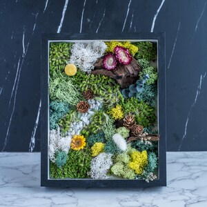 DIY Premium Moss Wall Art Kit With 2 Black Frames Nature Lover Gift ...