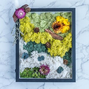DIY Premium Moss Wall Art Kit With 2 Black Frames Nature Lover Gift ...