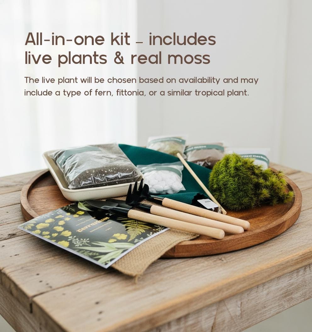 Complete Closed Terrarium Kit With Live Plants & Moss – Bioactive ...