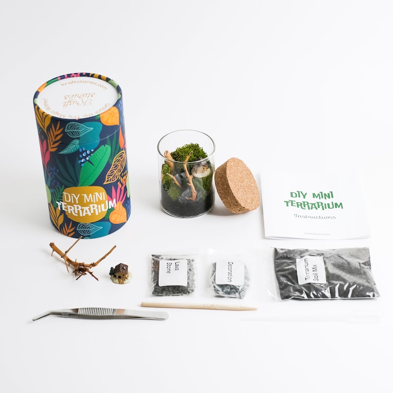 Terrarium Kit - Etsy