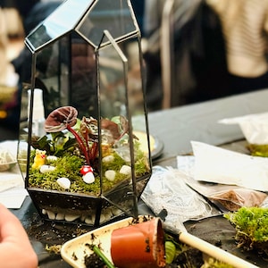 Bioactive Terrarium Kit With Live Moss With Terrarium Container ...