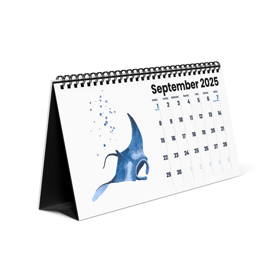 2025 Sea Creatures Desk Calendar, Watercolor Sea Fish Coral Whale ...