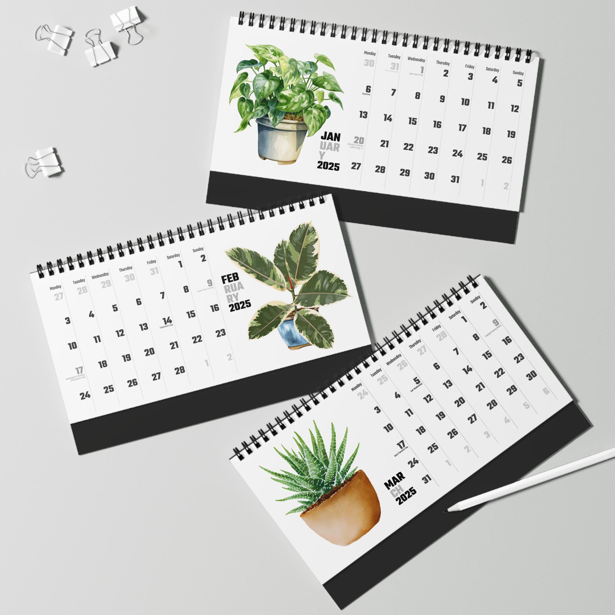 Watercolor Houseplant Desktop Calendar, Indoor Plant Illustration ...