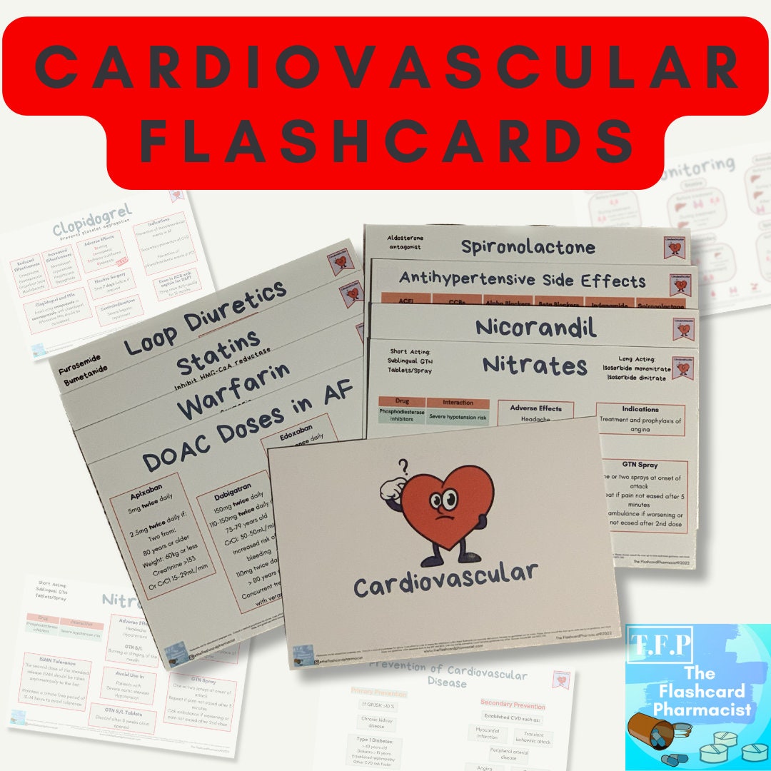 Cardiovascular Flashcards - Etsy