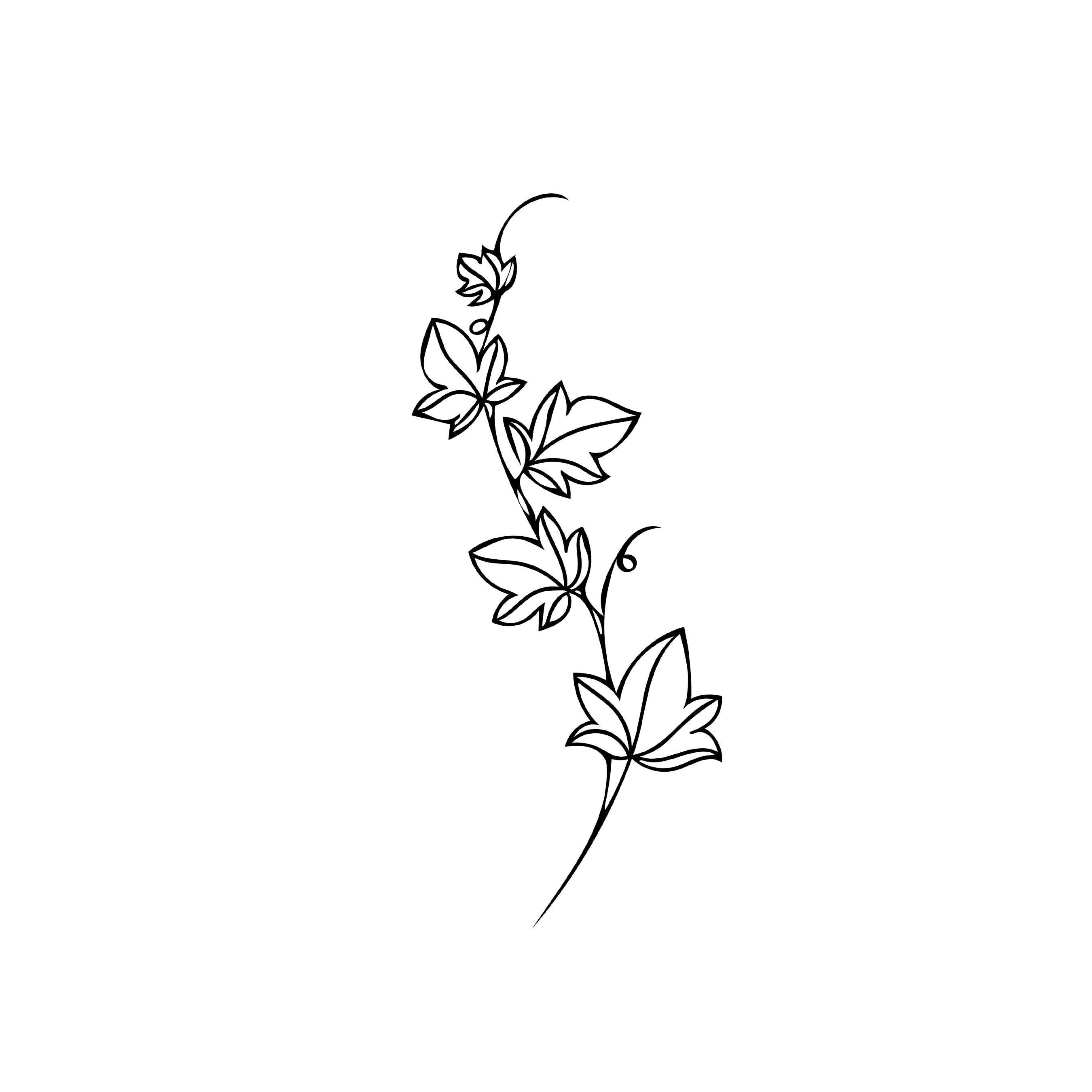 Ivy Leaves Line Art Tattoo Design, Small Tattoo Birthday Idea, Simple ...