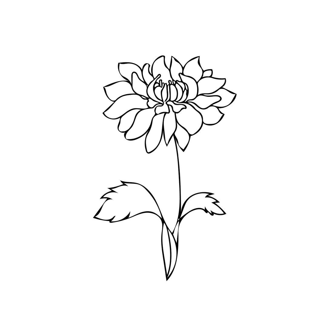 Dahlia Tattoo Design Line Art Simple Minimalist, Instant Download ...